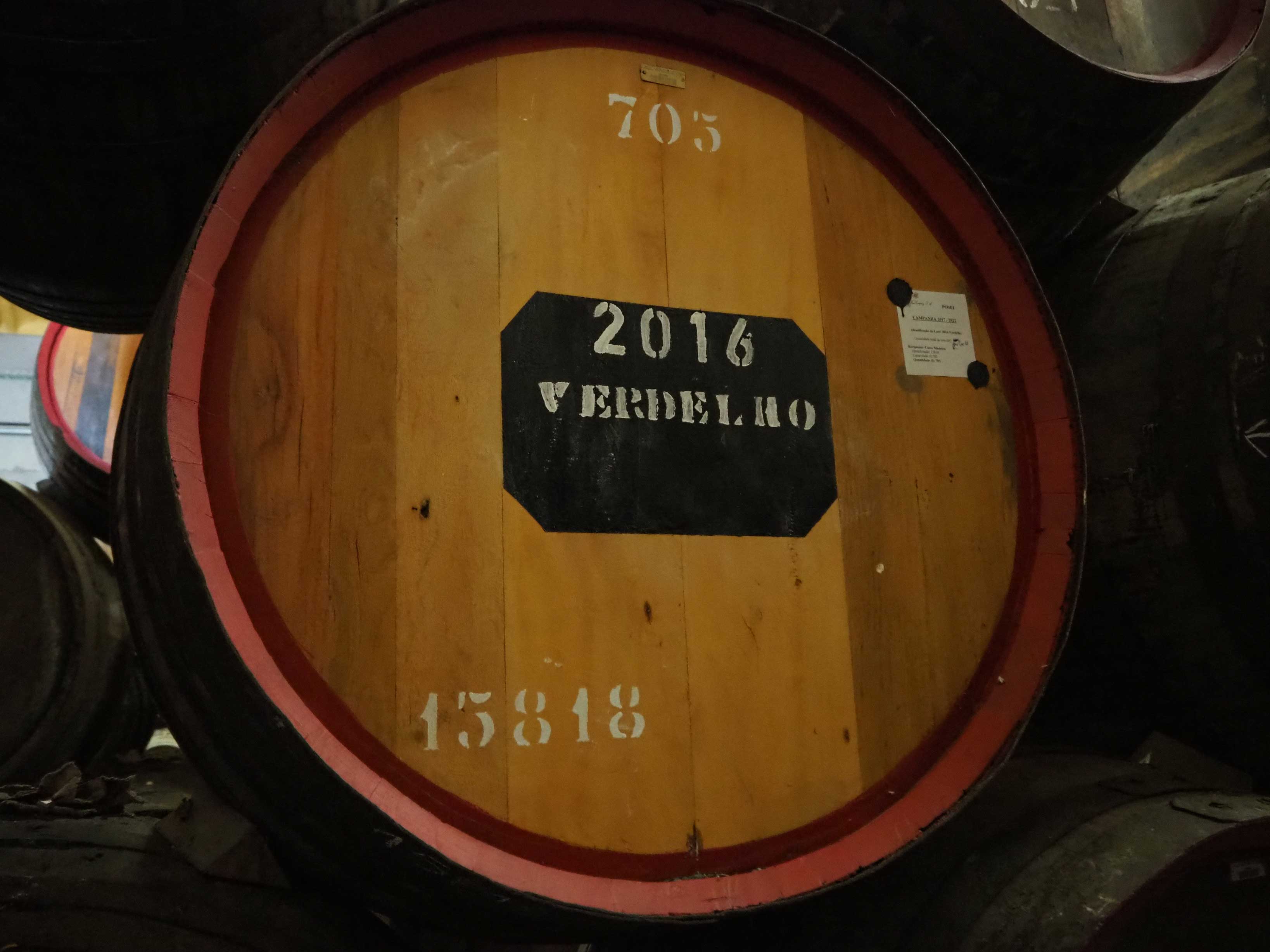 A enigmática casta Verdelho - Grandes Escolhas