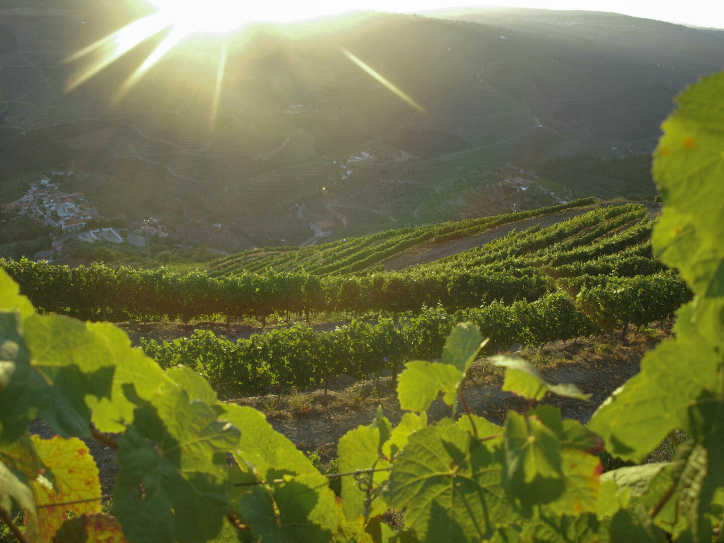 Lua Cheia em tom de Bronze - Grandes Escolhas