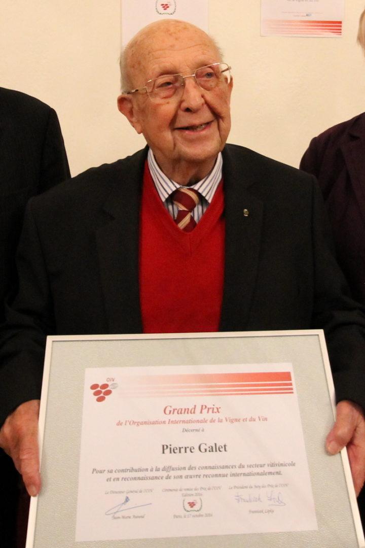 Morreu Pierre Galet, famoso ampelógrafo francês - Grandes Escolhas