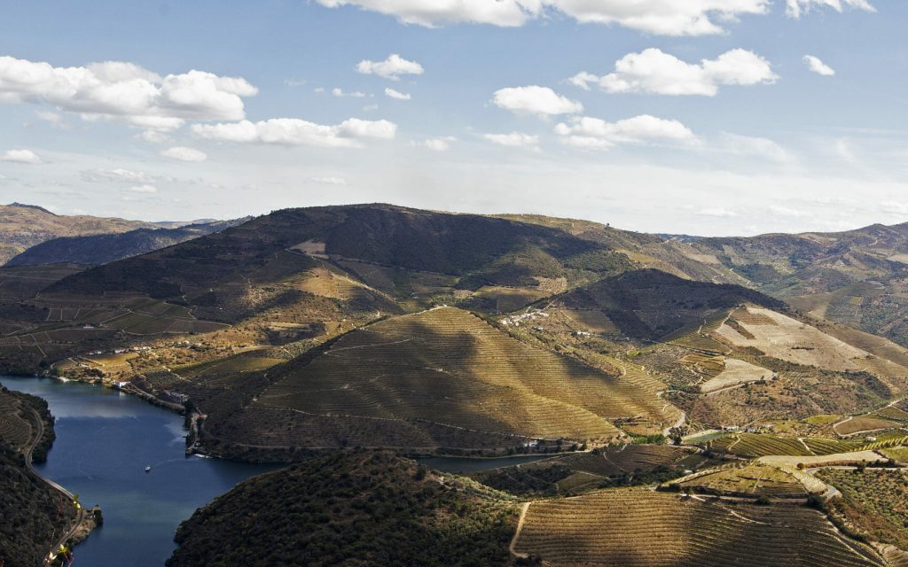 Caves Messias: Grandes vinhos, grande família - Grandes Escolhas