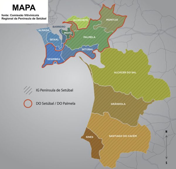 Península de Setúbal – Mais tinto, por favor - Grandes Escolhas