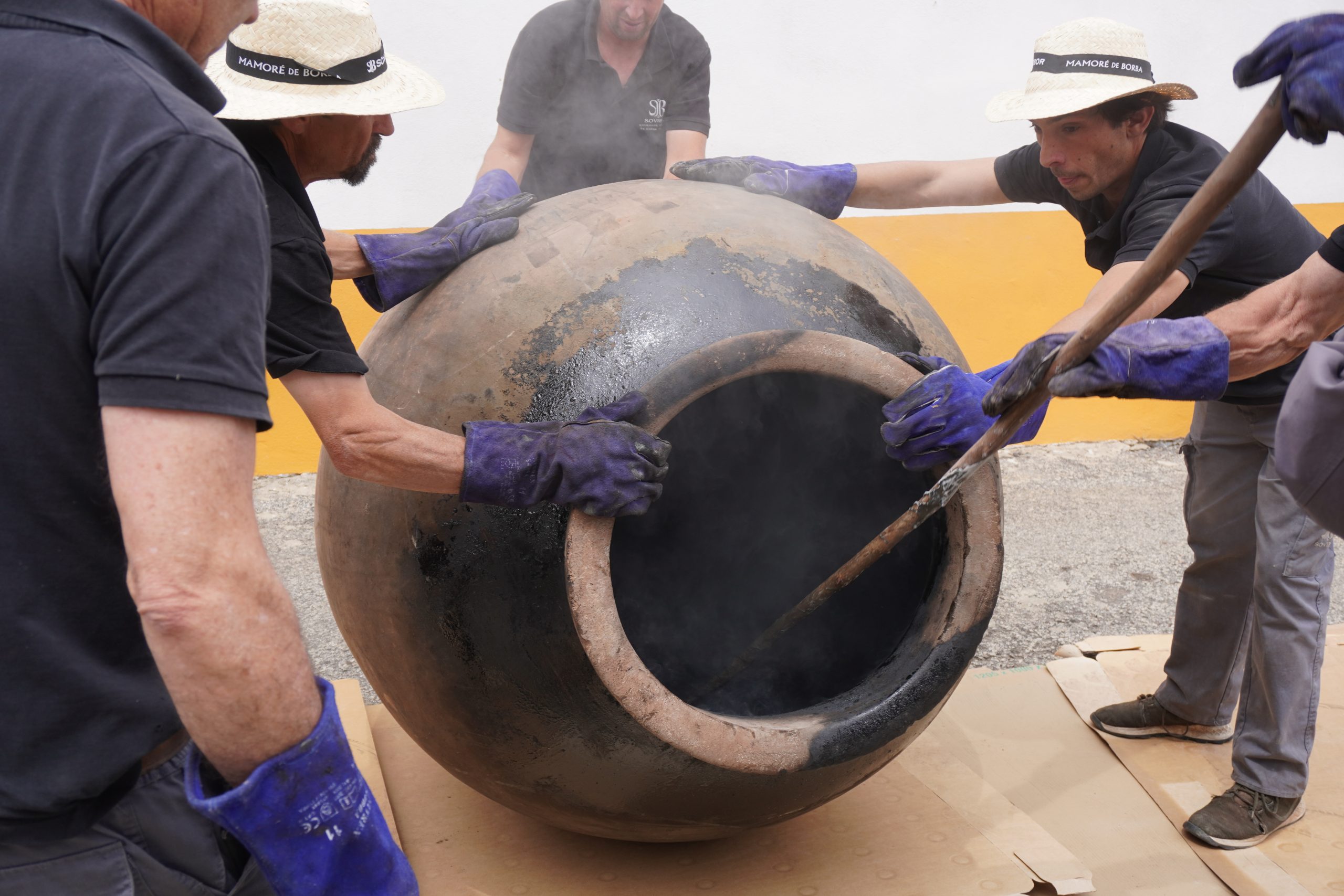 SOVIBOR: A Talha, como deve ser - Grandes Escolhas